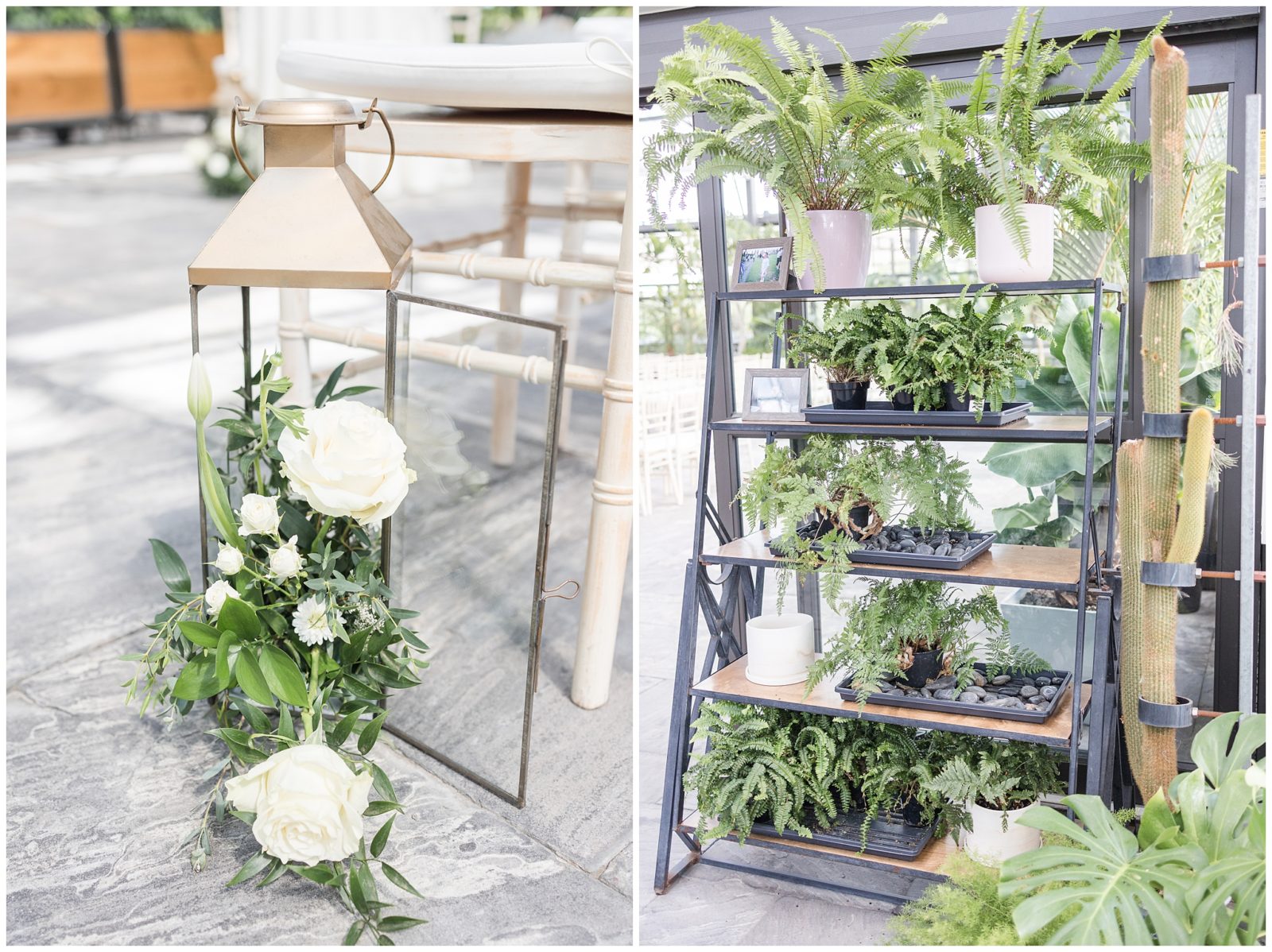 Aquatopia Water Garden Conservatory Wedding » Aquatopia Water Garden ...