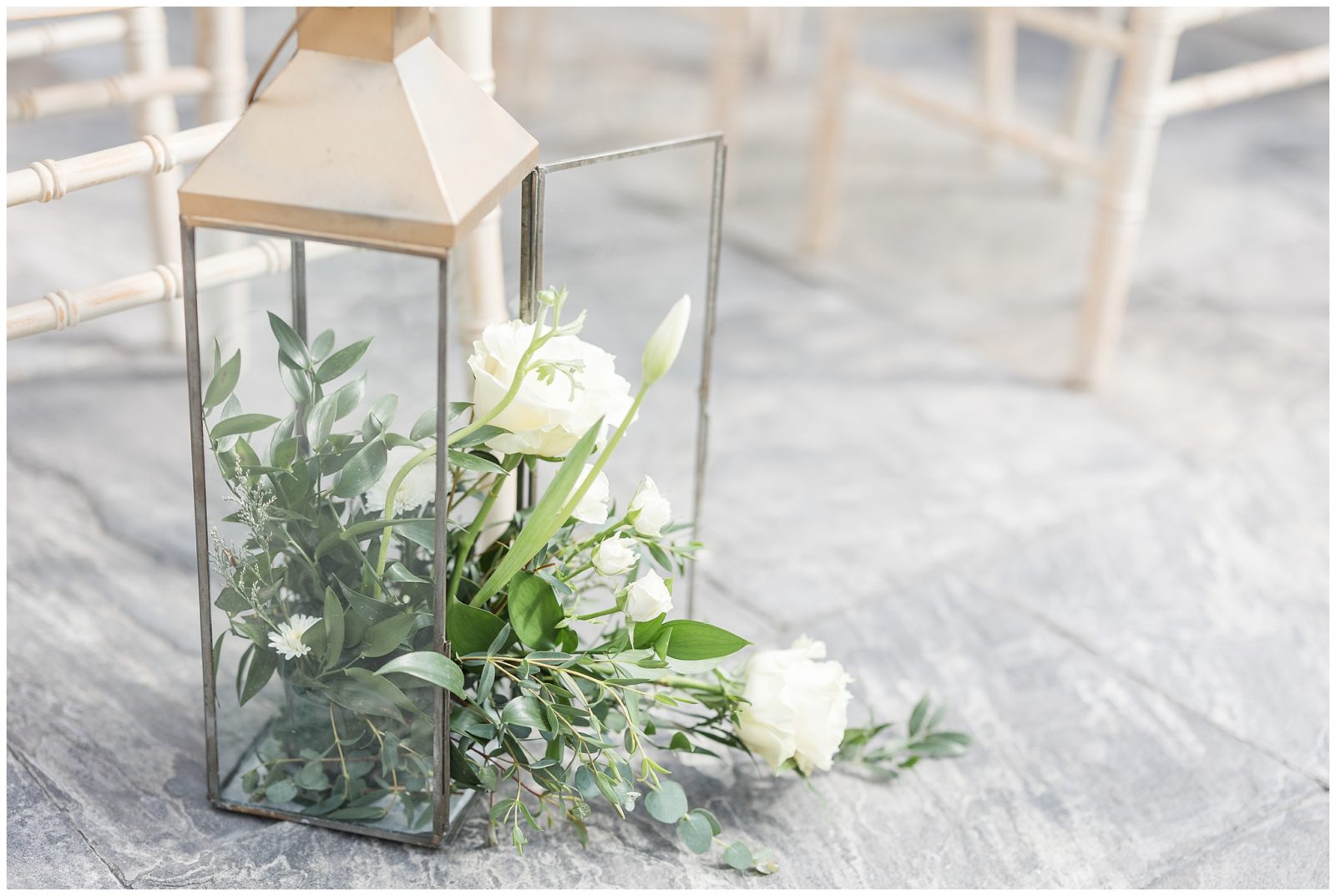 Aquatopia Water Garden Conservatory Wedding » Aquatopia Water Garden ...